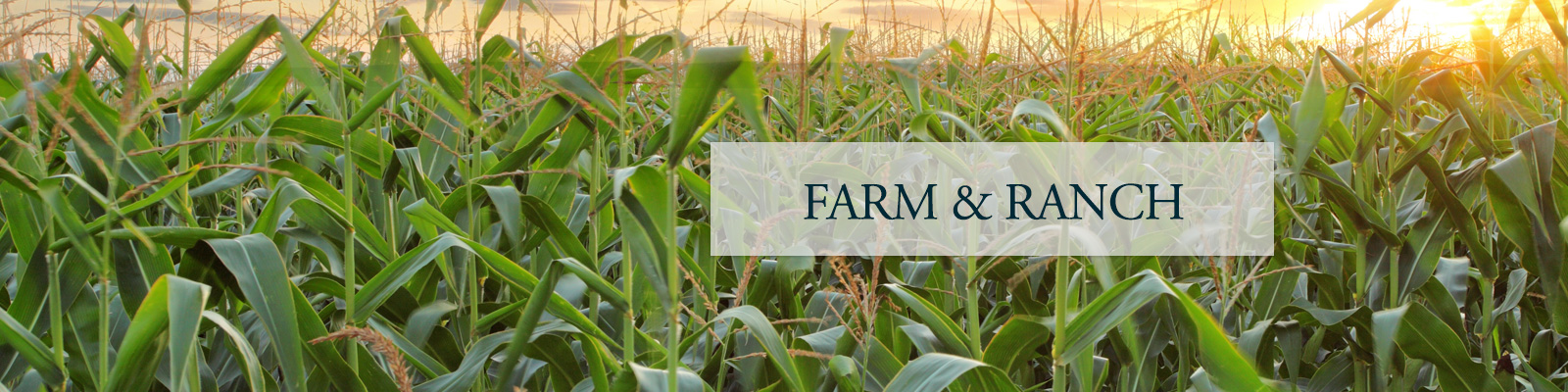 Farm & Ranch - Blue Ribbon Country Store - Beeville, Texas